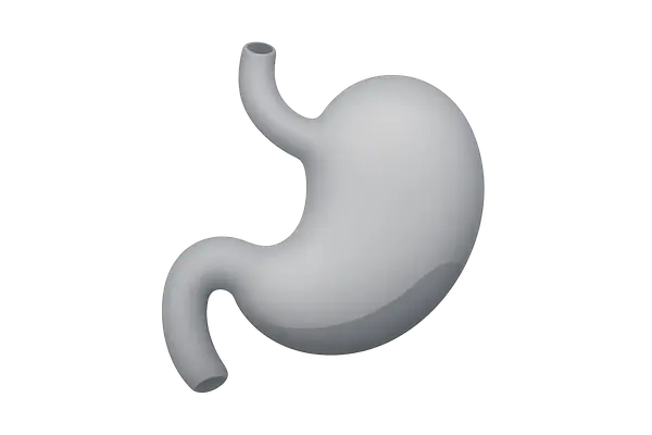 Surgical Implications of Variations | Anatomical Variations and ...