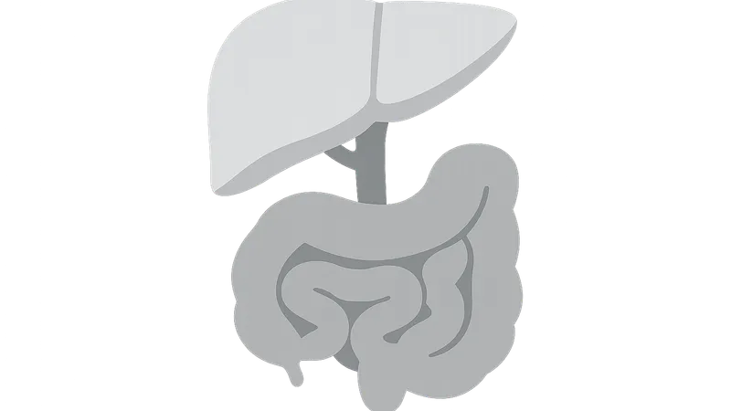 Variations in Visceral Anatomy | Anatomical Variations and Anomalies ...